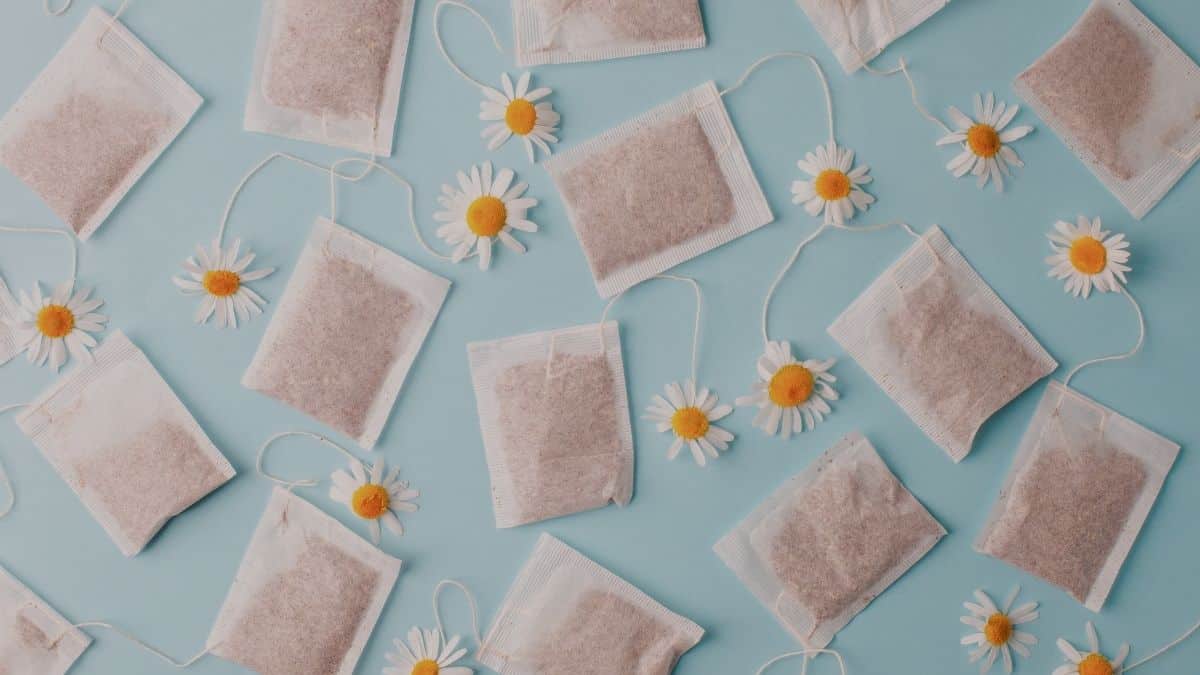 Cold Brew Tea Bags Vs. Regular Tea Bags - Which Ones Work Best And Why ...